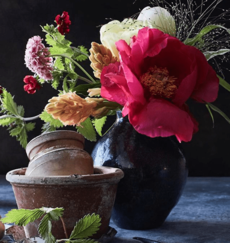 Why the Peony Declared Romania's National Flower