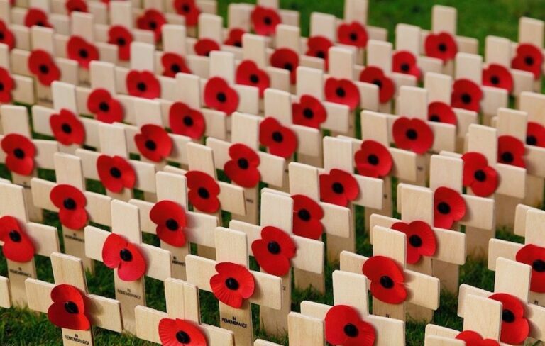 Why Is the Poppy Flower Meaningful to Veterans?